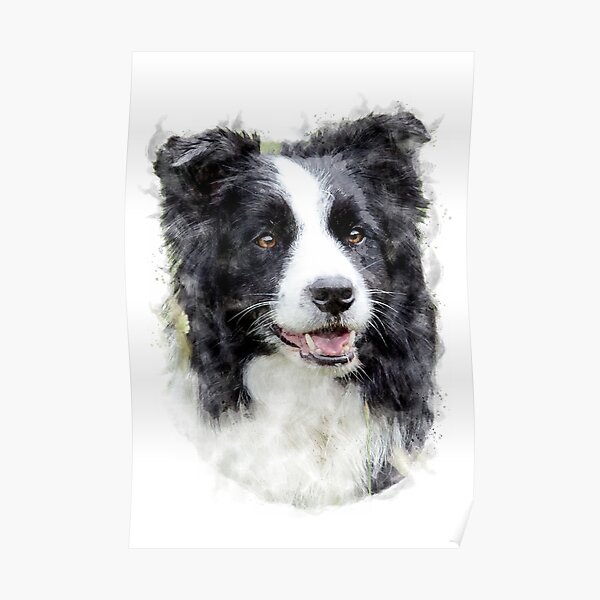 "Border Collie Watercolour Artwork" Poster for Sale by Typeglyphs ...