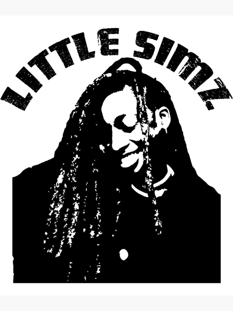 "little simz art " Poster by LittleOwlsHut | Redbubble