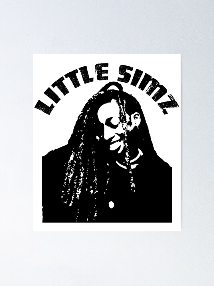 "little simz art " Poster by LittleOwlsHut | Redbubble