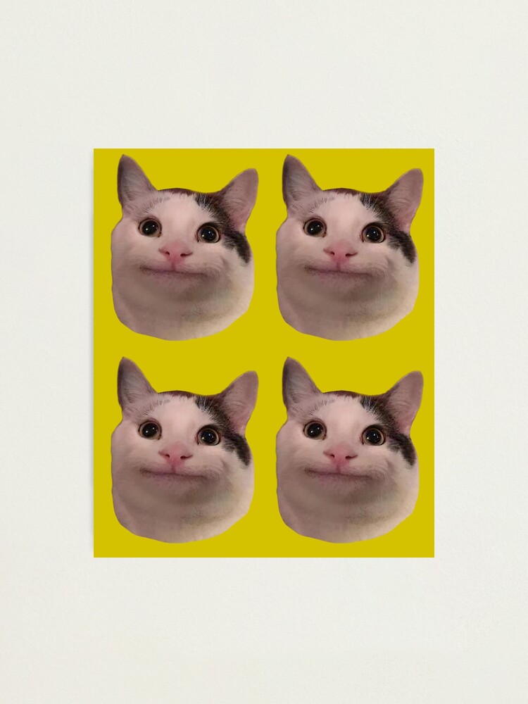 " Smiling Cat Beluga discord pfp thug life" Photographic Print by ...