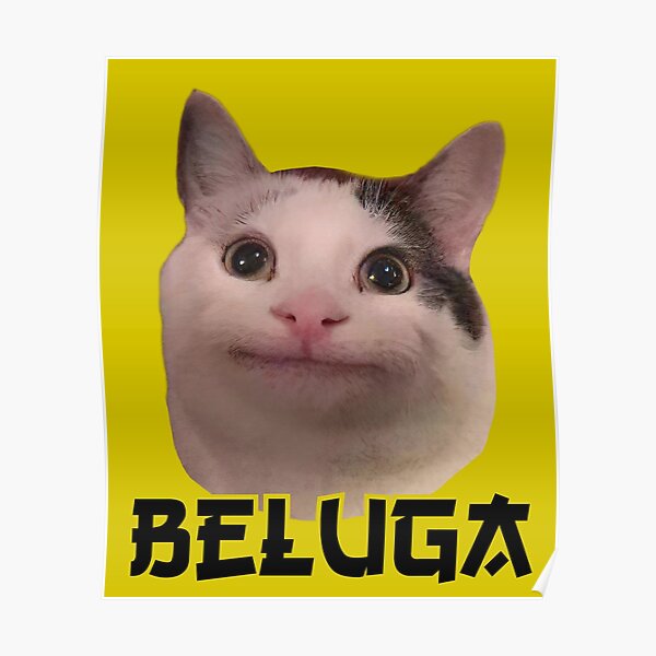 " Smiling Cat Beluga discord " Poster by stickiii | Redbubble