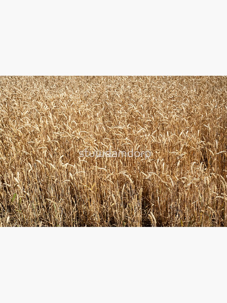 "Wheat" Sticker for Sale by stuwdamdorp | Redbubble