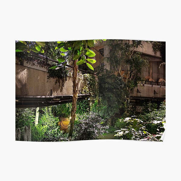 "The Barbican Conservatory" Poster for Sale by MancBusyBee | Redbubble