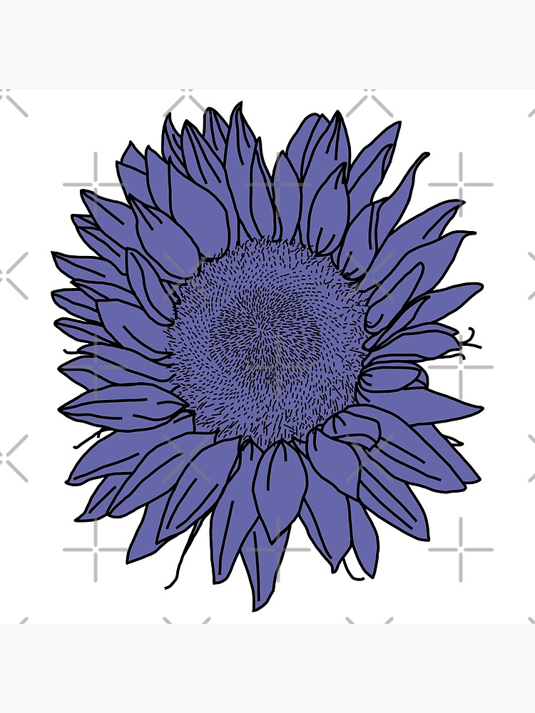 "Pantone Color of the Year 2022 Very Peri Periwinkle Blue Sunflower ...