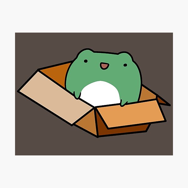 "Box Frog" Photographic Print by SaradaBoru | Redbubble