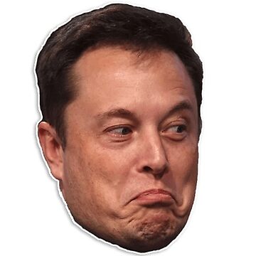 "Elon Musk Funny Face" Sticker for Sale by Artsy-Craft | Redbubble