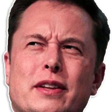 "Confused Elon Musk Face" Sticker for Sale by Artsy-Craft | Redbubble
