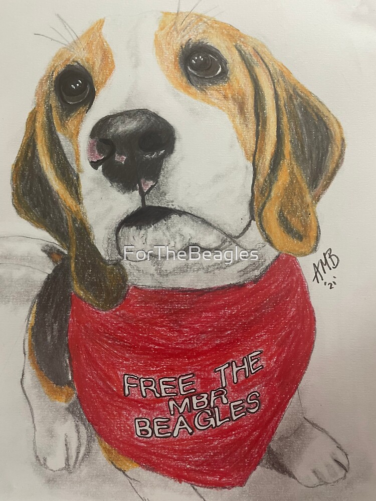 "FREE THE MBR BEAGLES " Sticker for Sale by ForTheBeagles | Redbubble