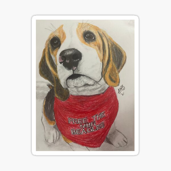 "FREE THE MBR BEAGLES " Sticker for Sale by ForTheBeagles | Redbubble