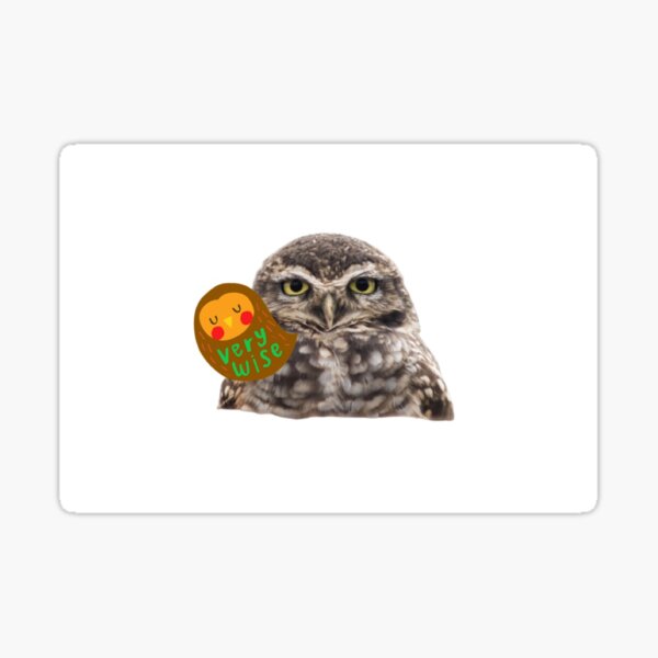 "Very wise owl" Sticker by ZenWoman1987 | Redbubble