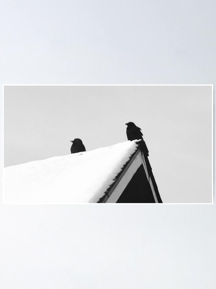 "Always watching" Poster for Sale by KaitGranville | Redbubble