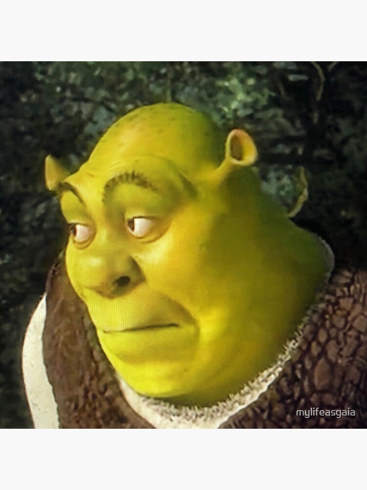 "Shrek Face Meme" Pillow for Sale by mylifeasgaia | Redbubble