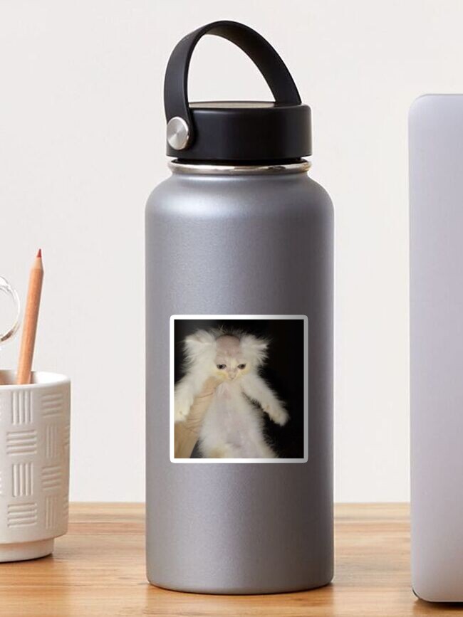 "bald cat meme" Sticker for Sale by CoorsQueen | Redbubble