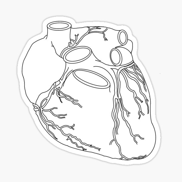 "Heart, B&W" Sticker for Sale by medicalelijah | Redbubble