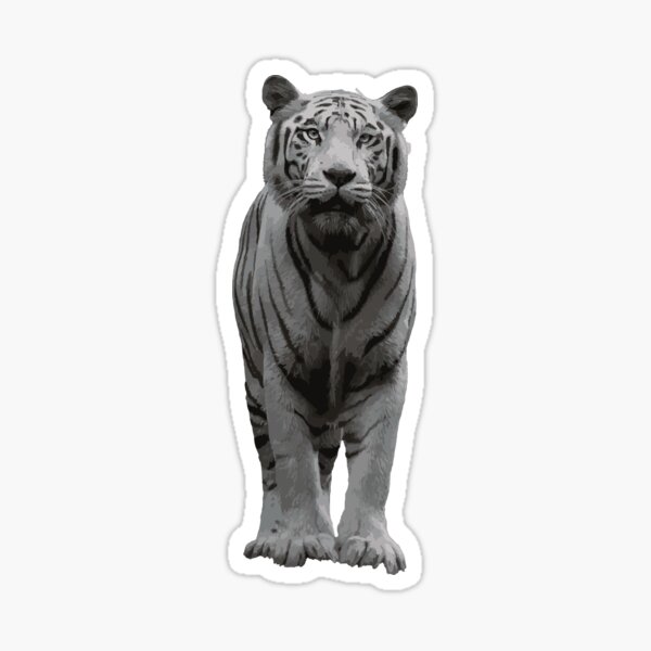 "White Tiger" Sticker by UntrueHunter | Redbubble