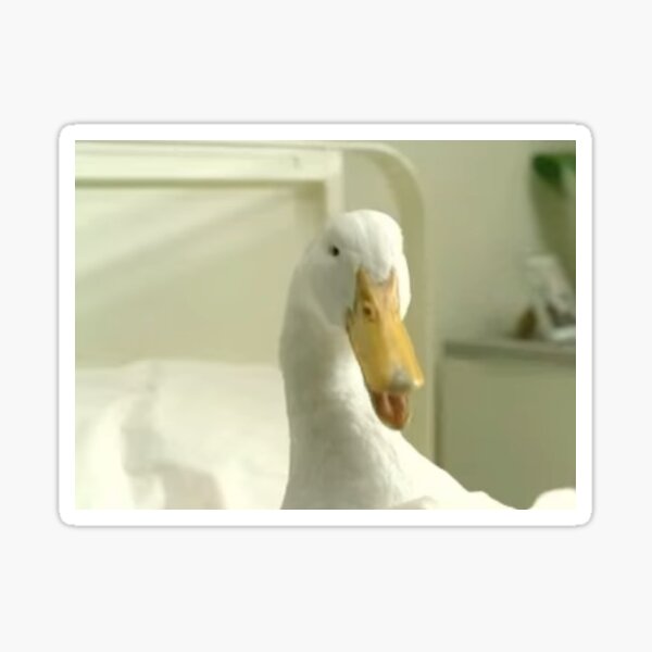 Aflac Merch & Gifts for Sale | Redbubble