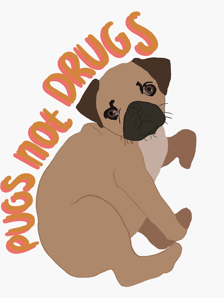 "Pugs Not Drugs" Sticker by gabriellekateri | Redbubble