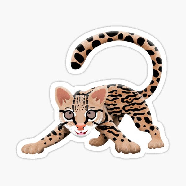 "Cute ocelot cartoon illustration" Sticker by FrogFactory | Redbubble