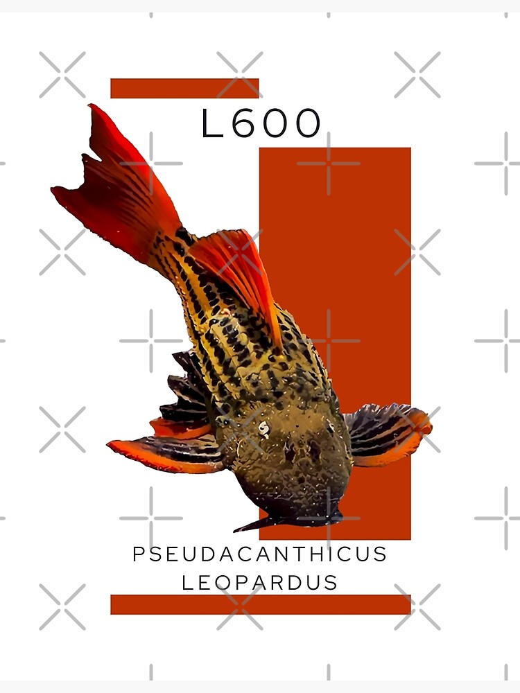 "L600 Pleco" Poster for Sale by GFishy | Redbubble