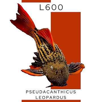"L600 Pleco" Poster for Sale by GFishy | Redbubble