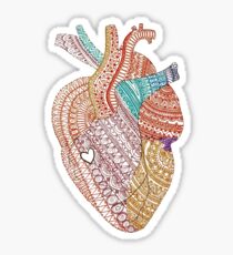 Anatomical Heart: Stickers | Redbubble