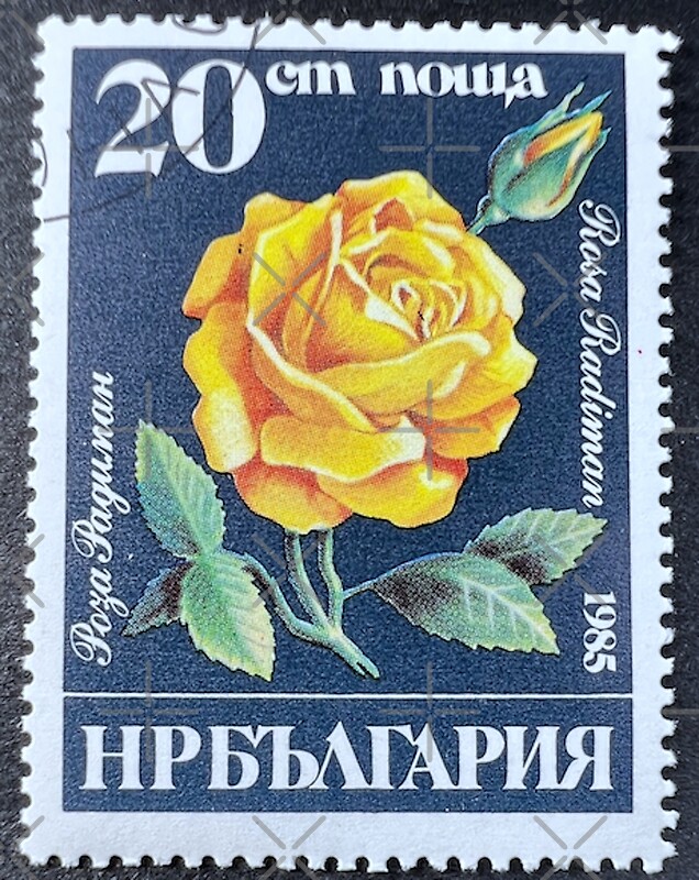 "Yellow Rose Flower 1985 Vintage Postage Stamp" by Factory57 | Redbubble