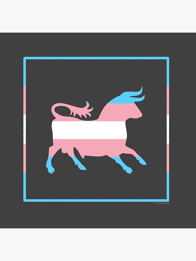 "Transparent Trans Pride Flag Fallout: New Vegas Inspired Caesar's ...