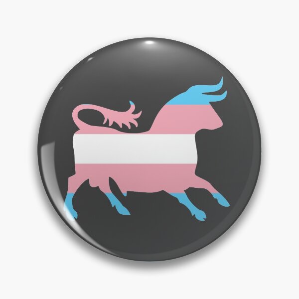 "Transparent Trans Pride Flag Fallout: New Vegas Inspired Caesar's ...