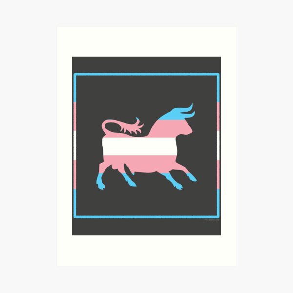 "Transparent Trans Pride Flag Fallout: New Vegas Inspired Caesar's ...