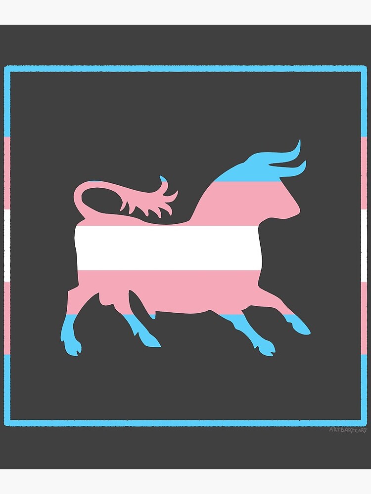 "Transparent Trans Pride Flag Fallout: New Vegas Inspired Caesar's ...