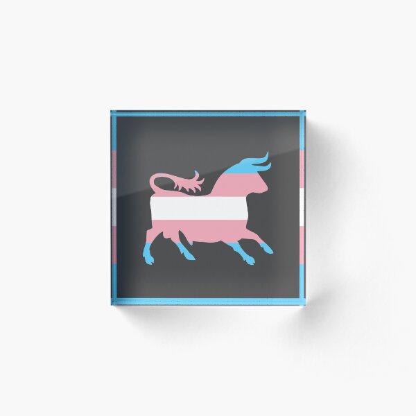 "Transparente Trans Pride Flag Fallout: New Vegas inspirierte das Logo ...