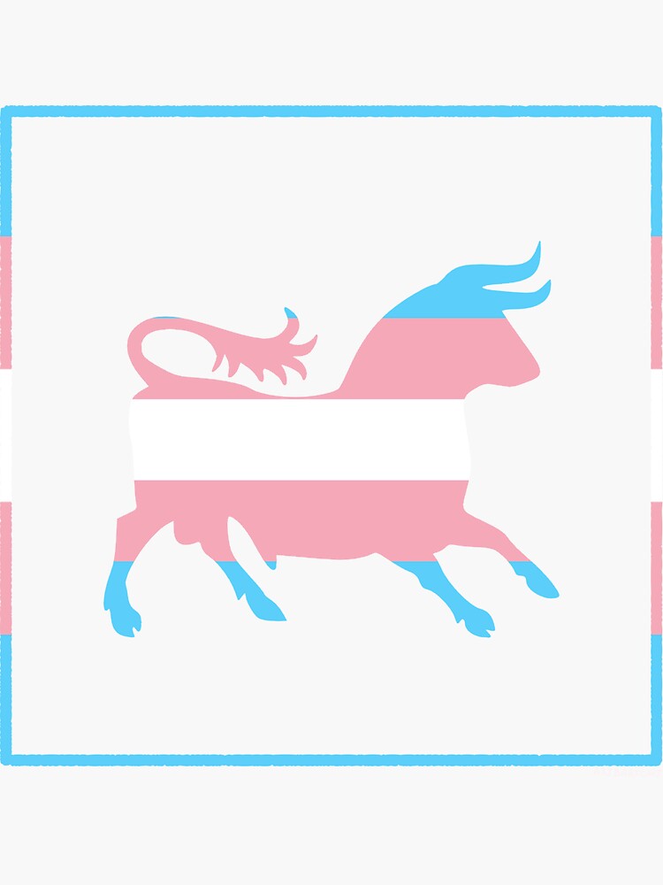 "Transparente Trans Pride Flag Fallout: New Vegas inspirierte das Logo ...