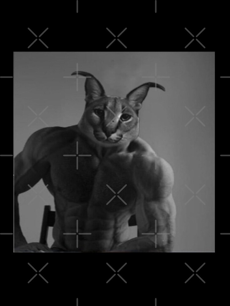 "CHAD FLOPPA CAT \ CARACALS \ GIGA CHAD CAT \ GIGA CAT / MUSCLE FLOPPA ...