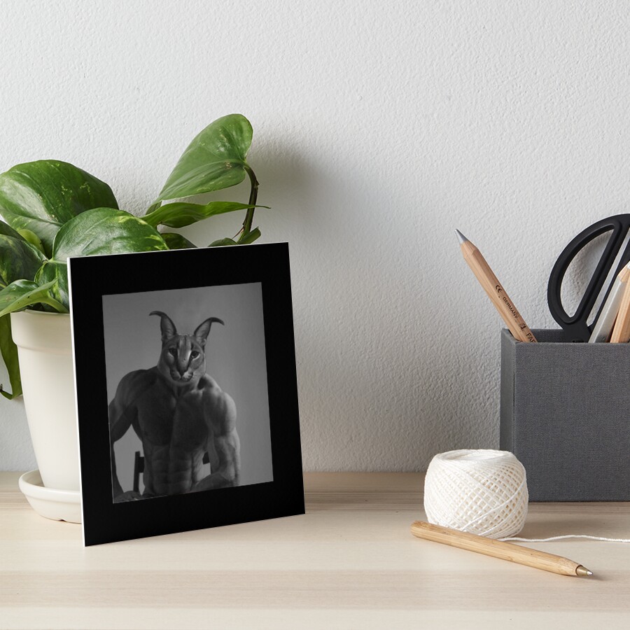 "CHAD FLOPPA CAT \ CARACALS \ GIGA CHAD CAT \ GIGA CAT / MUSCLE FLOPPA ...