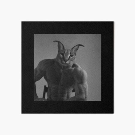 "CHAD FLOPPA CAT \ CARACALS \ GIGA CHAD CAT \ GIGA CAT / MUSCLE FLOPPA ...