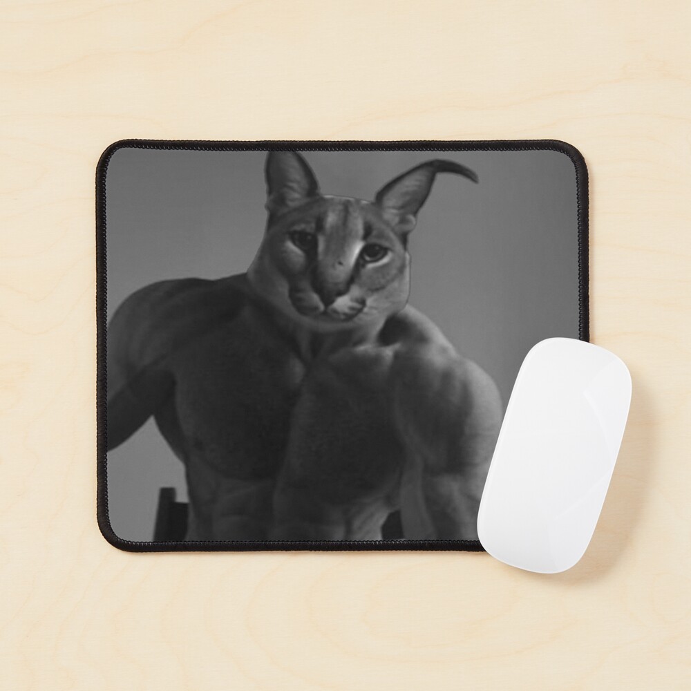 "CHAD FLOPPA CAT \ CARACALS \ GIGA CHAD CAT \ GIGA CAT / MUSCLE FLOPPA ...