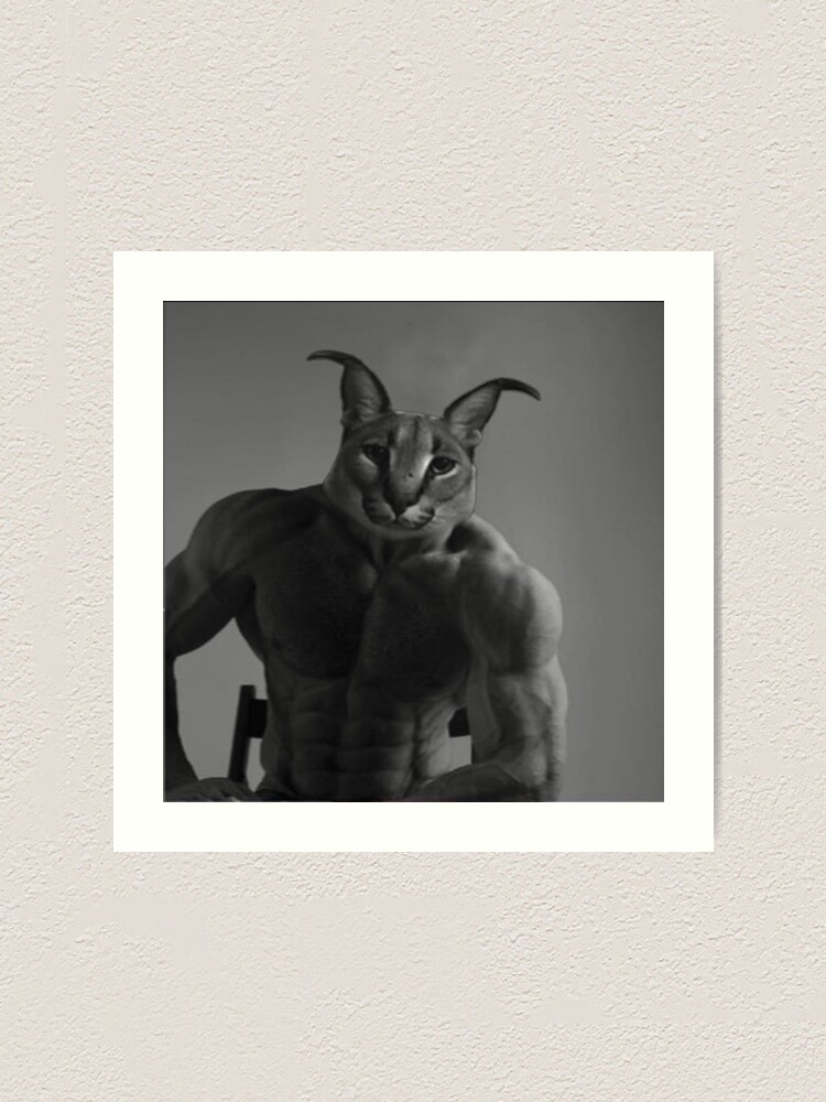 "CHAD FLOPPA CAT \ CARACALS \ GIGA CHAD CAT \ GIGA CAT / MUSCLE FLOPPA ...