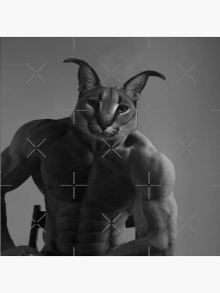 Lámina fotográfica «CHAD FLOPPA CAT \ CARACALS \ GIGA CHAD CAT \ GIGA ...