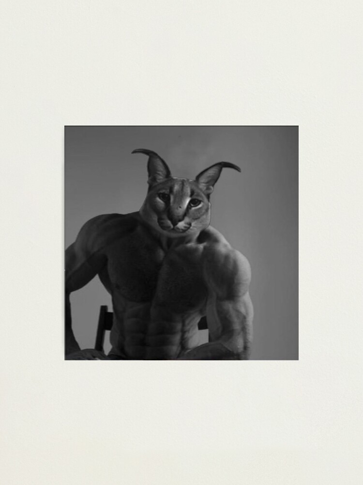 "CHAD FLOPPA CAT \ CARACALS \ GIGA CHAD CAT \ GIGA CAT / MUSCLE FLOPPA ...
