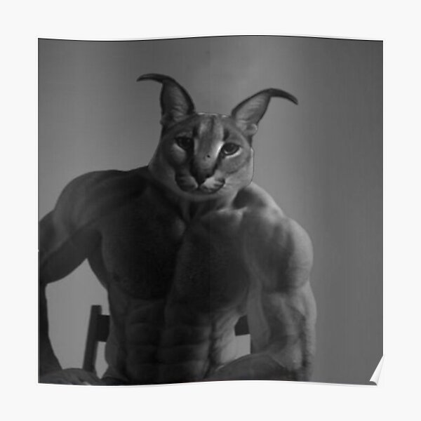 "CHAD FLOPPA CAT \ CARACALS \ GIGA CHAD CAT \ GIGA CAT / MUSCLE FLOPPA ...