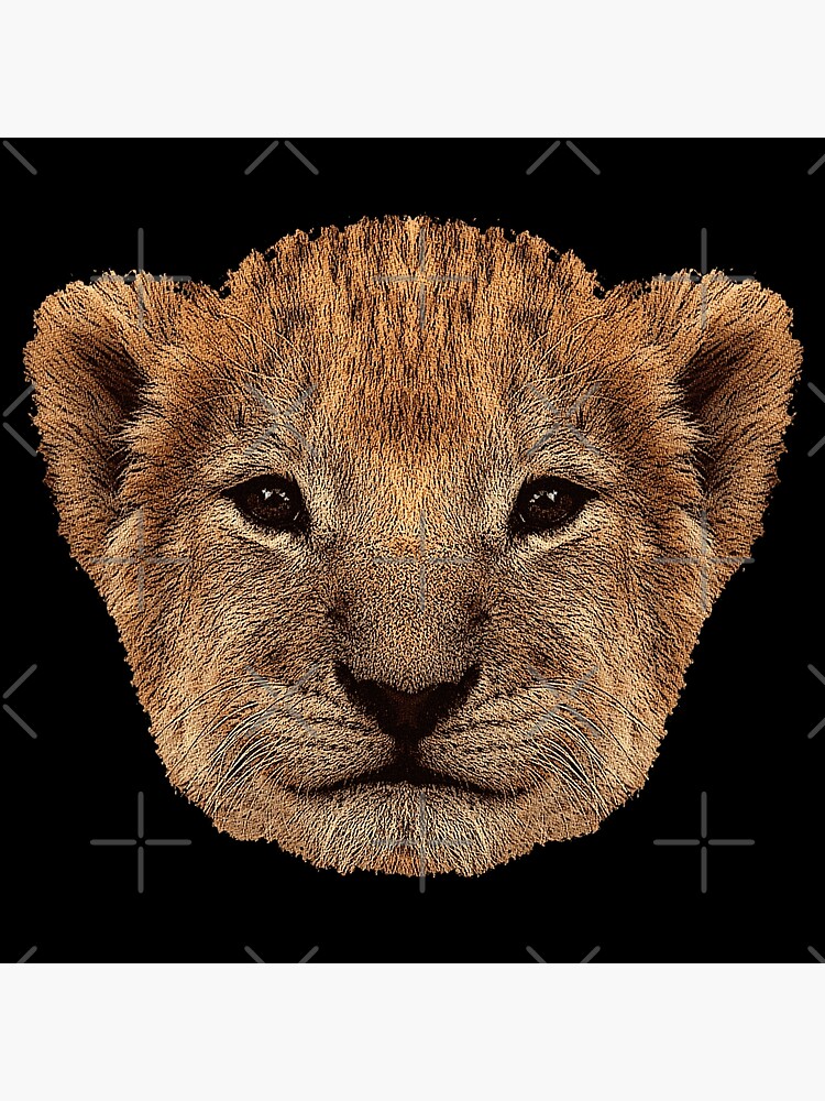 "Leu baby face canvas optics, popular baby animal photos, leo face, big ...