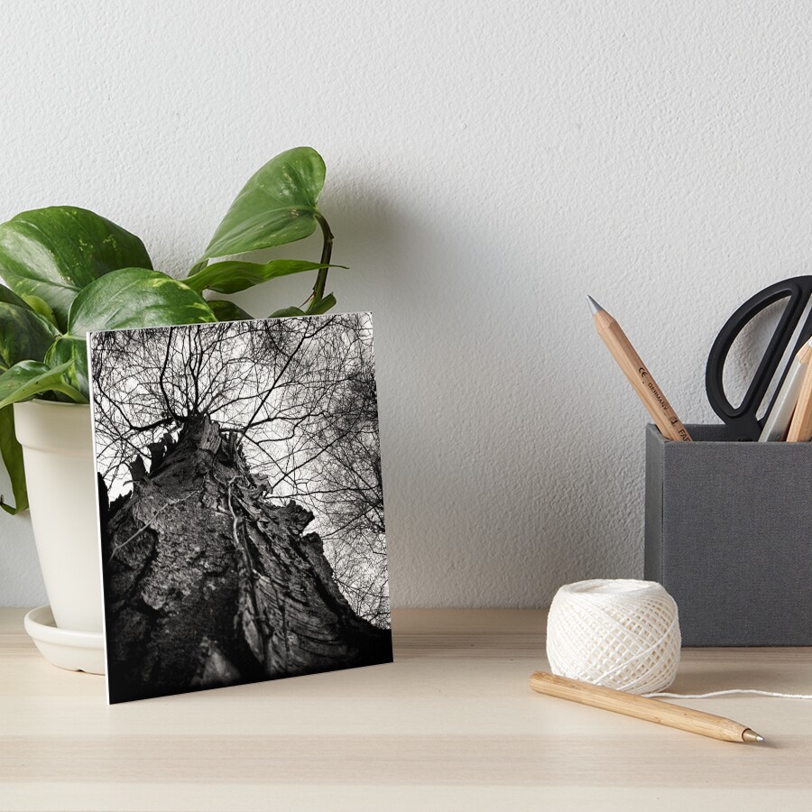 "Nottingham Gothic" Art Board Print for Sale by SMSFineArt | Redbubble