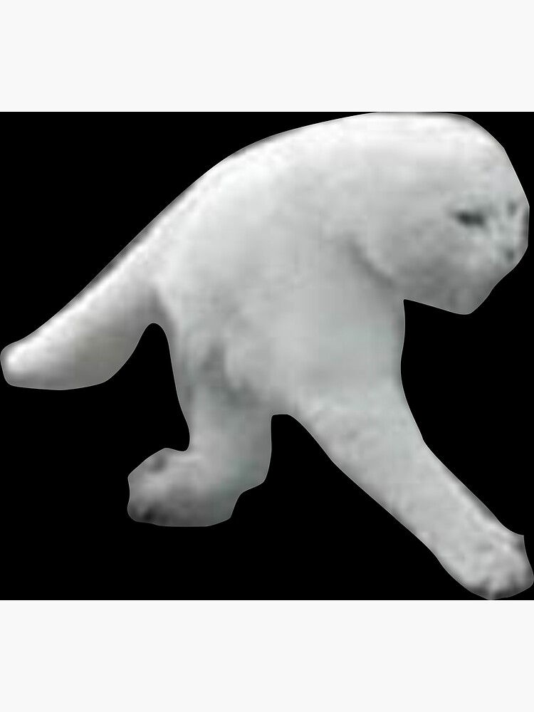 Póster «Meme gato dos patas» de los-memes | Redbubble