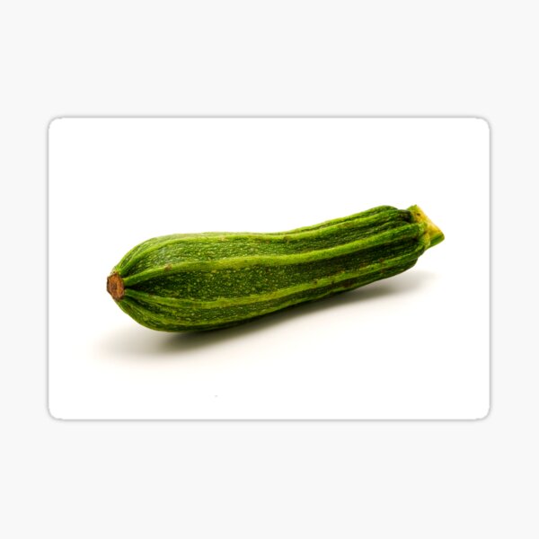 "Zucchini" Sticker for Sale by troianifabrizio | Redbubble