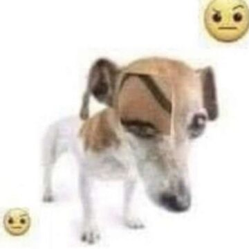 "? eyebrow raise dog meme" Photographic Print for Sale by papa-zoinks ...