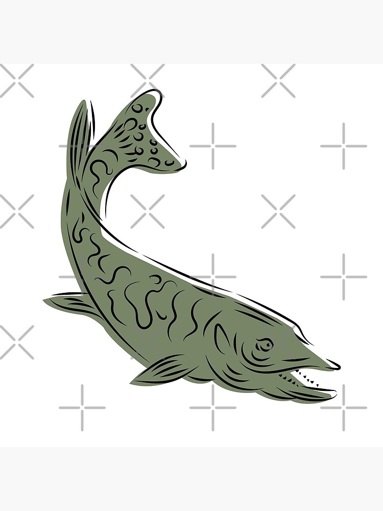 "Muskie Sticker" Poster for Sale by samtayillust | Redbubble