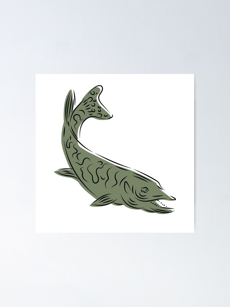 "Muskie Sticker" Poster for Sale by samtayillust | Redbubble