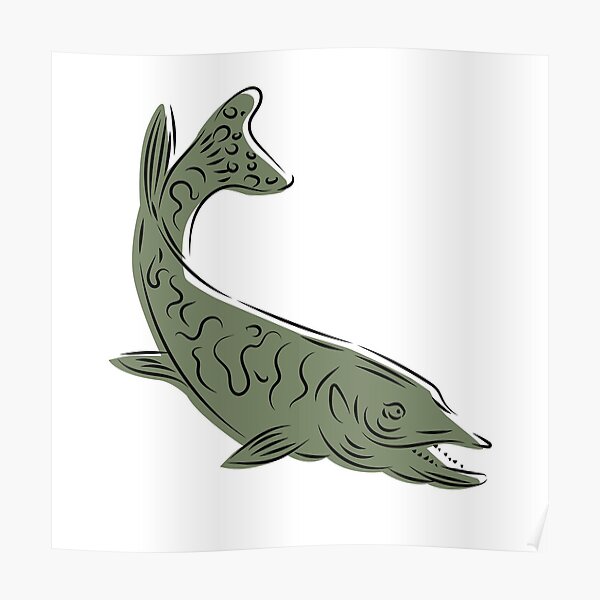 "Muskie Sticker" Poster for Sale by samtayillust | Redbubble