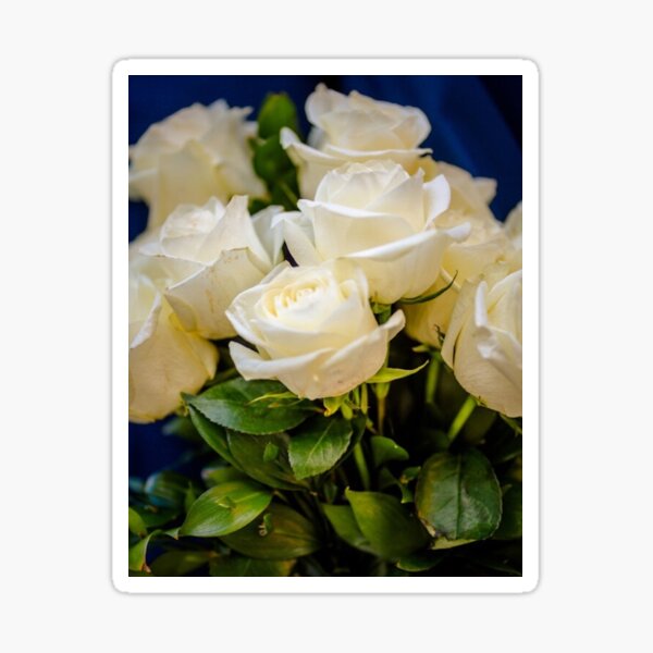 "Bunch of White Rose Flowers" Sticker for Sale by TheBestPresents ...