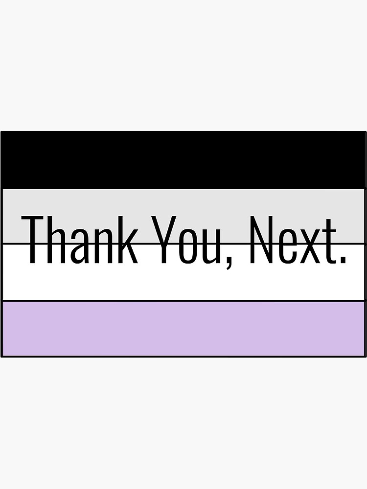 "Ace Flag Thank You, Next." Sticker by Snarktastic | Redbubble